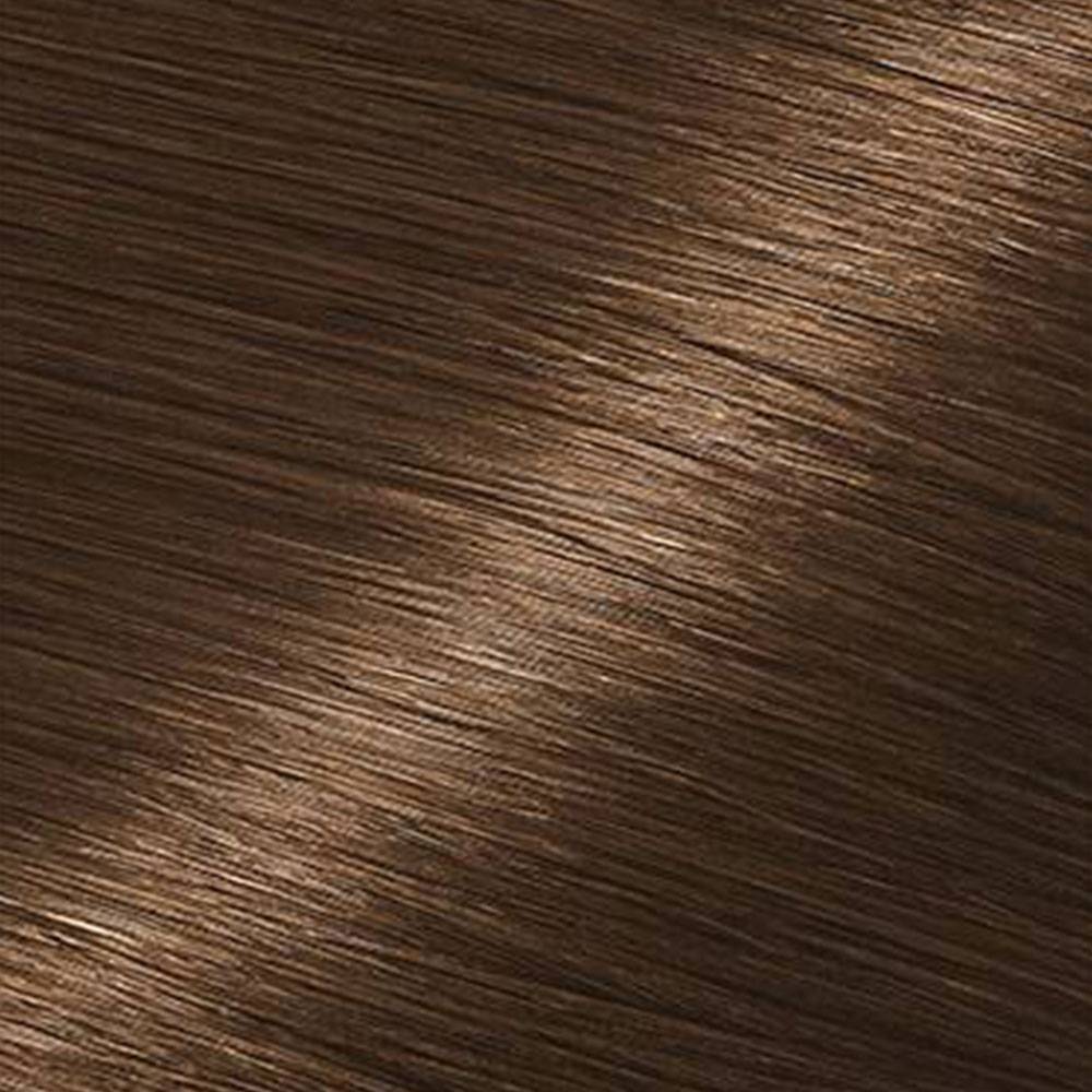 21 - Châtain Clair Doré Naturel - Garnier