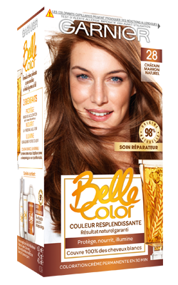 28 - Châtain Marron Naturel - Garnier