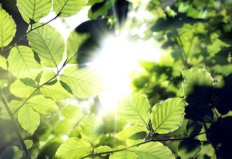 À propos de la beauté : innovation et engagement durable | Garnier